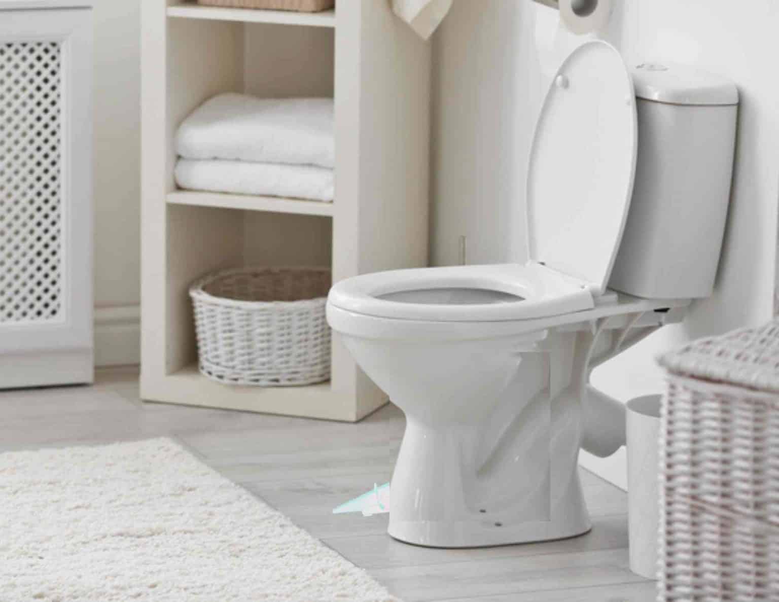Dometic Toilet Foot Pedal Replacement: Step By Step Guide - Camper Upgrade